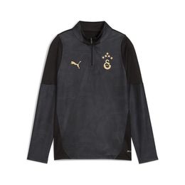Puma Galatasaray Istanbul Sweatshirt Kids Rot F003, Größe 116, Kinder, Fan Artikel - 11teamsports