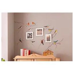 Wandtattoo Komar "Vogerl - Größe 50 x 70 cm", bunt, B:50cm H:70cm, Folie, Wandtattoos, selbstklebend, Wandsticker