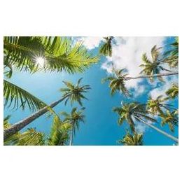 Vliestapete Komar "Digitaldruck Vlies - Coconut Heaven II - Größe 450 x 280 cm", bunt, B:450m L:280m, Vlies, Tapeten, Wohnzimmer, Schlafzimmer