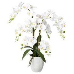 Kunstorchidee Creativ green "Deko-Orchidee Phalaenopsis im Keramiktopf", weiß, B:28cm H:67cm T:28cm, Obermaterial: 95% Polyethylen, 5% Polyester, Kunstpflanzen