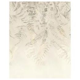 Vliestapete Komar "Digitaldruck Vlies - Herbarium - Größe 200 x 250 cm", braun (braun, grau), B:200 L:250, Vlies, Tapeten, Wohnzimmer, Schlafzimmer