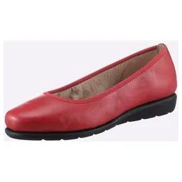 Ballerina Classic Basics, Damen, Gr. 39, lila (erdbeere), Glattleder, Basic, Schuhe