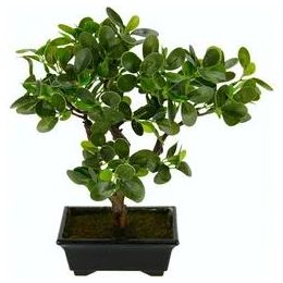 Kunstbonsai I.GE.A. "Ginseng-Bonsai", grün, B:13cm H:33cm, Obermaterial: 70% Kunststoff, 30% Polyester, Kunstpflanzen, in Bonsaischale aus Kunststoff