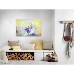 A.S. Création A.S. CRÉATION Leinwandbild »Dandelion« Gemälde Kunst 1 Stk. tlg. Pusteblume Keilrahmen Leinwand-Bild Wohnzimmer modern Wandbild Kinder Farbe...