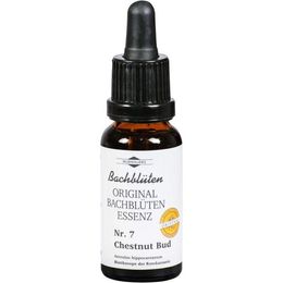 MCM KLOSTERFRAU Vertr. GmbH Bachbl&uuml;ten Murnauer Chestnut Bud Tropfen 20 ml