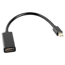 Lanberg Displayport Mini > HDMI - 20 cm