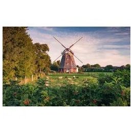 Vliestapete Komar "Digitaldruck Vlies - Tage wie Diese - Größe 450 x 280 cm", bunt, B:450 L:280, Vlies, Tapeten, Wohnzimmer, Schlafzimmer