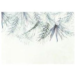 Vliestapete Komar "Digitaldruck Vlies - Palm Spring - Größe 350 x 250 cm", bunt, B:350 L:250, Vlies, Tapeten, Wohnzimmer, Schlafzimmer