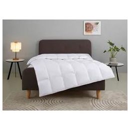 Daunenbettdecke Home Affaire "Litrone, Bettdecke 135x200 cm, 155x220 cm, 200x200 cm, 240x220 cm", wei&szlig;, B:135cm L:200cm, Bezug: 100% Baumwolle. F&uuml;llung: 100% G&auml;nsedaunen, Bettdecken, Bettdecken, Sommer, Winter, Ganzjahresdecke, Decke, Made in Germany