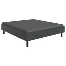 Bett wimex "Easy, große Auswahl an Größen und Farben, auch in Komforthöhe", grau (graphit, schwarz), H:46cm L:210cm, Betten, ohne Kopfteil, ideal unter Dachschrägen oder Fenster
