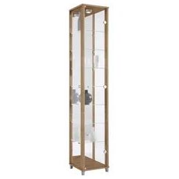 Fif Möbel Vitrine FIF MÖBEL "OPTIMA", nocefarben, Holzwerkstoff, Sicherheitsglas ESG, Schränke, Standvitrine/Glasvitrine 1x Glastür,perfekt für Sammler,Sammlervitrine