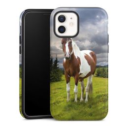 DeinDesign iPhone 12 mini Handy Panzer Handyh&uuml;lle robuste Outdoor H&uuml;lle Schutzh&uuml;lle gl&auml;nzend Horse Nature Meadow Tough Case