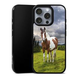 DeinDesign iPhone 16 Pro Handy Silikon H&uuml;lle Case schwarz Handyh&uuml;lle Meadow Nature Horse