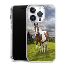 DeinDesign iPhone 14 Pro Handy Case Handyh&uuml;lle transparent H&uuml;lle Meadow Nature Horse Hard Case