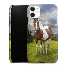 DeinDesign iPhone 11 Handy Premium Case Smartphone Handyh&uuml;lle Schutzh&uuml;lle matt Meadow Nature Horse Premium Case