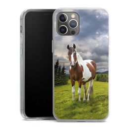 DeinDesign iPhone 12 Pro Max Handy Silikon H&uuml;lle Case transparent Handyh&uuml;lle Horse Nature Meadow Silikon Case