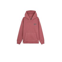 Scalpers Sweatshirt 'Typeskull' Jungen Gr&ouml;&szlig;e 170/176 grau / dunkelgrau / burgunder