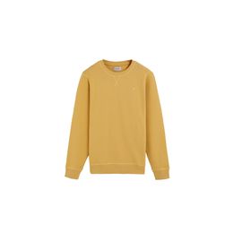 Scalpers Scfade Sweater ' ' Herren Gr&ouml;&szlig;e M gelb / senf