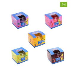 Haribo 5er-Set: Duftkerzen "Haribo" in Bunt - 5x 85 g - 36% | Kerzen-vasen