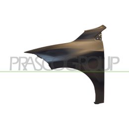 PRASCO Kotfl&uuml;gel vorne links f&uuml;r RENAULT 631017297R 631010047R 631011470R RN4243004