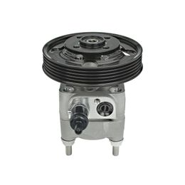 Meyle Hydraulikpumpe, Lenkung 714 631 0040 f&uuml;r VOLVO 36002641