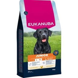 eukanuba Trockenfutter Hund, Junior, groß, Huhn 15 kg