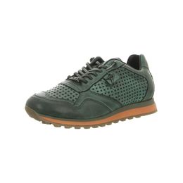 CETTI Sneaker Low in grün | Gr.: 42