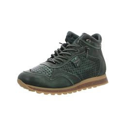 CETTI Sneaker High in grün | Gr.: 41