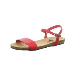 Plakton Sandale in rot | Gr.: 41