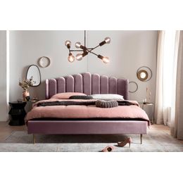 Polsterbett Salesfever "Komfortables Bett f&uuml;r erholsamen Schlaf", rosa (rose), B:152cm H:115cm L:218cm, MDF, Samt (100% Polyester), Metall, Betten, Polsterbett, Eleganz trifft Komfort: Samt-Bezug, goldfarbene Metallf&uuml;&szlig;e