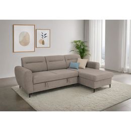 Ecksofa TRENDS BY HG, B:248cm H:87cm T:153cmd517 enjoy new 46 pewter, 92% Polyester;8% Nylon, Wohnzimmer, Sofas, "Bella L-Form, B: 248 cm", mit