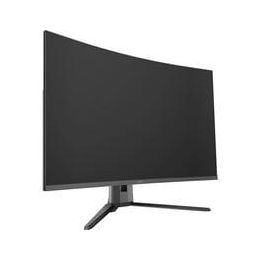 G3221SC, Gaming-Monitor 80 cm (31.5 Zoll), schwarz, QHD, VA, Curved, HDMI, DP, FreeSync Premium, 170Hz Panel