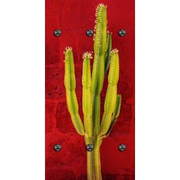 Wandgarderobe queence "Kaktus", rot, B:50cm H:100cm T:2cm, Acrylglas, Garderobenpaneele, Wandpaneel aus Acrylglas inkl. 6 Edelstahlhaken in schwarz matt