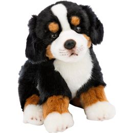 Kuscheltier Nici "Lifelike, Hund Berner Sennenhund, 20 cm", schwarz, Plüschfiguren, JungenB:13cm H:20cm L:17cm, Plüsch, enthält recyceltes Material (Global Recycled Standard), B:13cm H:20cm L:17cm
