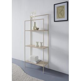 Mehrzweckregal "Alimo", kaschmir, B:61cm H:141cm T:25cm, Metall, LeGer Home by Lena Gercke, Regale, minimalistisches Design, Metallgestell, 4 Ablageflächen, Breite 61 cm