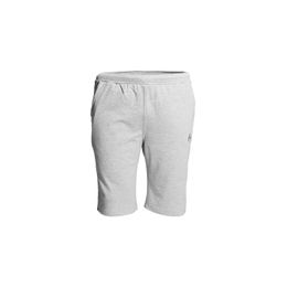 Shorts Ahorn Sportswear, Herren, Gr. 6XL, EURO-Gr&ouml;&szlig;en, grau, 80% Baumwolle, 20% Polyester, bestickt, kurz, Hosen Shorts, mit Logo-Stickerei