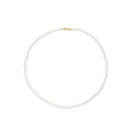 Perlenkette Firetti "Schmuck Geschenk Gold 375 Halsschmuck Halskette Perle" Gr. 4, gold (gelbgoldfarben, weiß), Halsketten, Damen, 4, Gelbgold 375 Perlen, L: 40, Gelbgold 375, Perlen, Made in Germany - mit Süßwasserzuchtperle