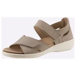 Classic Dog Sandale CLASSIC, Damen, Gr. 40, grau (taupe), Nubukleder, Schuhe Sandale