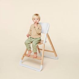 ergobaby Evolve Kleinkindstuhl: Natural Wood