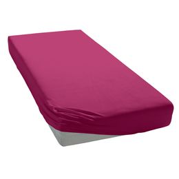 Spannbettlaken my home "PAPRIKA", lila (beere), B:160cm L:200cm, Microfaser-Jersey, Obermaterial: 100% Polyester, Bettlaken, Bettlaken, Laken, in zwei Qualitäten: Fleece & Jersey, 100% Polyester