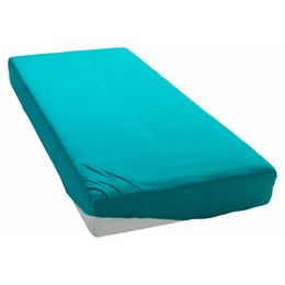 Spannbettlaken my home "PAPRIKA", blau (petrol), B:200cm L:200cm, Microfaser-Jersey, Obermaterial: 100% Polyester, Bettlaken, Bettlaken, Laken, in zwei Qualitäten: Fleece & Jersey, 100% Polyester