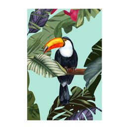 Bild Komar "Toco Toucan", bunt (farbe bild(er): bunt), B:50cm H:70cm, Holz, Papier, Bilder, Wandbild zur Dekoration - ohne Rahmen