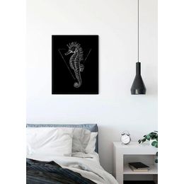 Bild Komar "Sea Horse Black", bunt (farbe bild(er): bunt), B:50cm H:70cm, Holz, Papier, Bilder, Wandbild zur Dekoration - ohne Rahmen