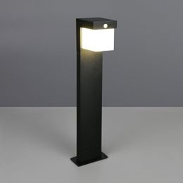 Trio Leuchten Colombo Solar Pollerleuchte, LED, R53286132,
