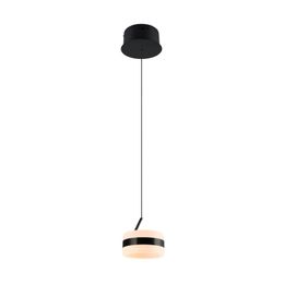 Trio Leuchten Dios Pendelleuchte, LED, 1-flammig, 331410132,