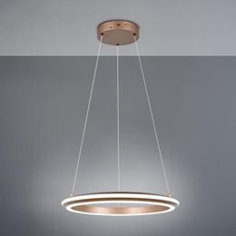 Trio Leuchten Amador Pendelleuchte, LED, 331010165,