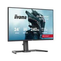 iiyama G-Master G2471HS-B1 Red Eagle, Gaming-Monitor 60.5 cm (23.8 Zoll), schwarz (matt), FullHD, Fast-IPS, HDMI, DP, G-Sync komp., 240Hz Panel