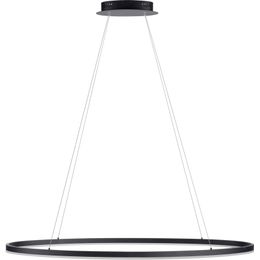 Paul Neuhaus Pendelleuchte "TITUS", grau (anthrazit), 1, 1 Stk., Leuchten, LED, Simply Dim