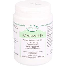 Pangam Vitamin B15 Vegi Kapseln 180 St