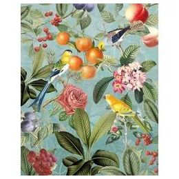 Vliestapete Komar "Digitaldruck Vlies - Birds and Berries - Größe 200 x 250 cm", bunt, B:200m L:250m, Vlies, Tapeten, Wohnzimmer, Schlafzimmer